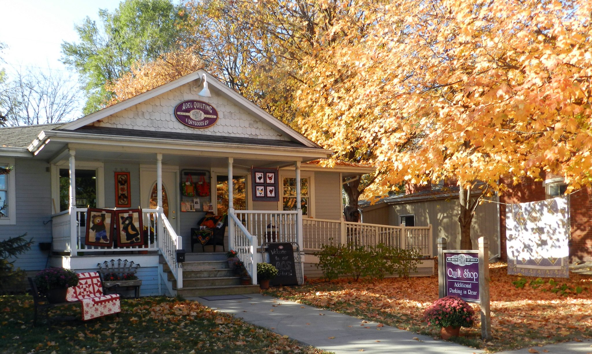 Jacque – Joy Neal Kidney