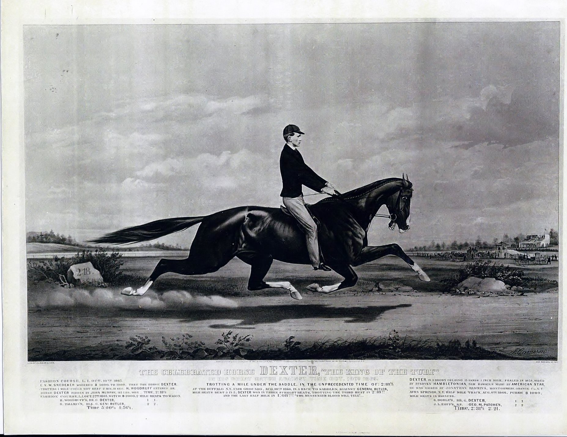 trot – Joy Neal Kidney